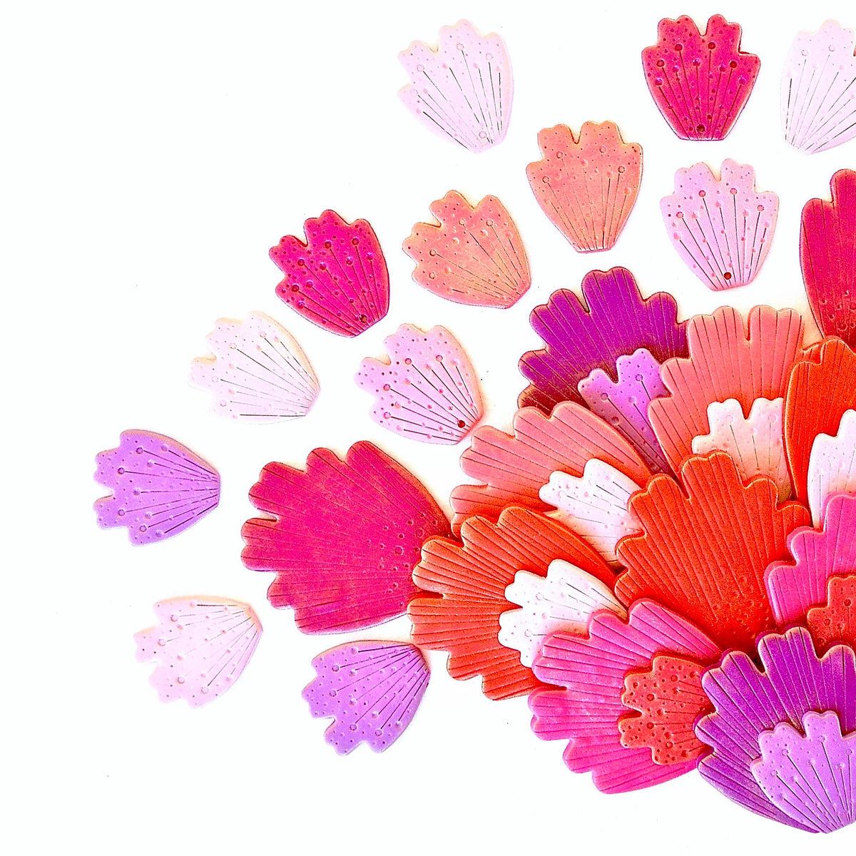 FLORA RELEASE – Van Bloom Studios